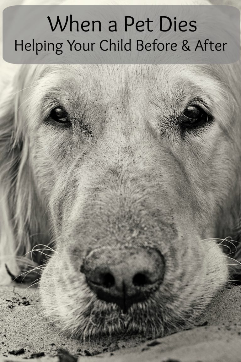 Helping Your Child Cope With The Death Of A Beloved Pet BEFORE, During ...